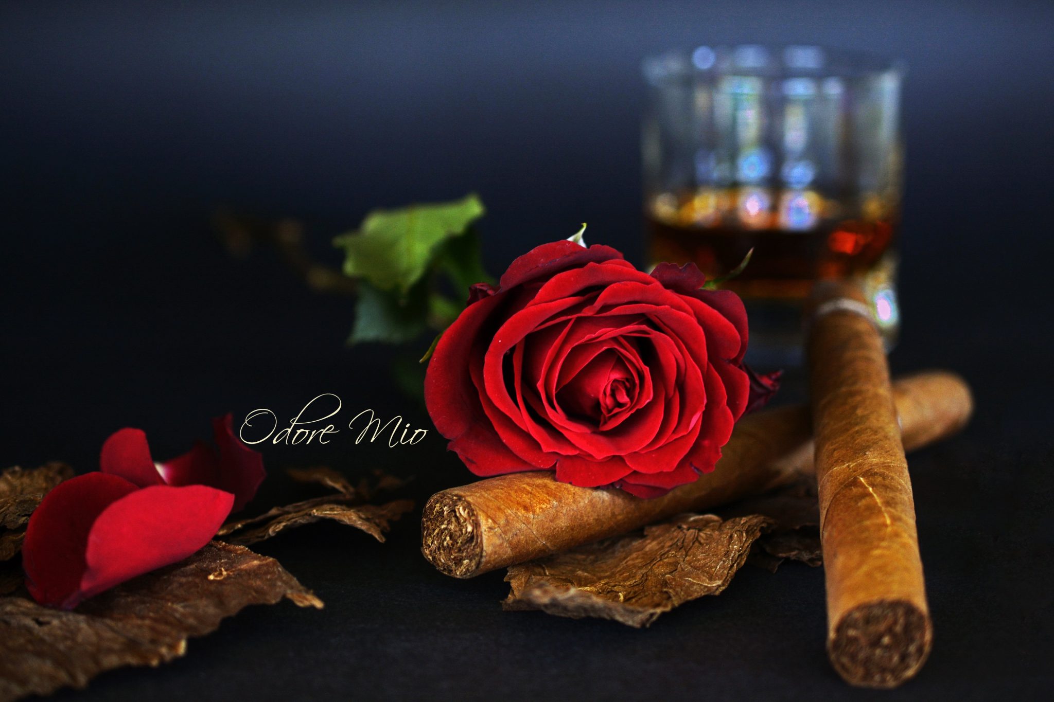 Oud Wood Tobacco and Spice – review of Tobacco Oud Perfume – Odore Mio ...